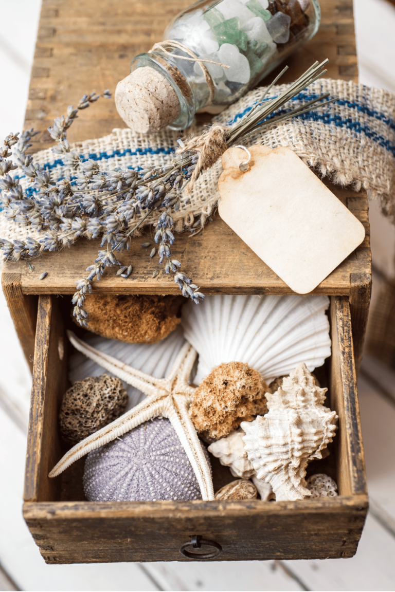 Event Decor with Style & Purpose | ELAN BAZAAR